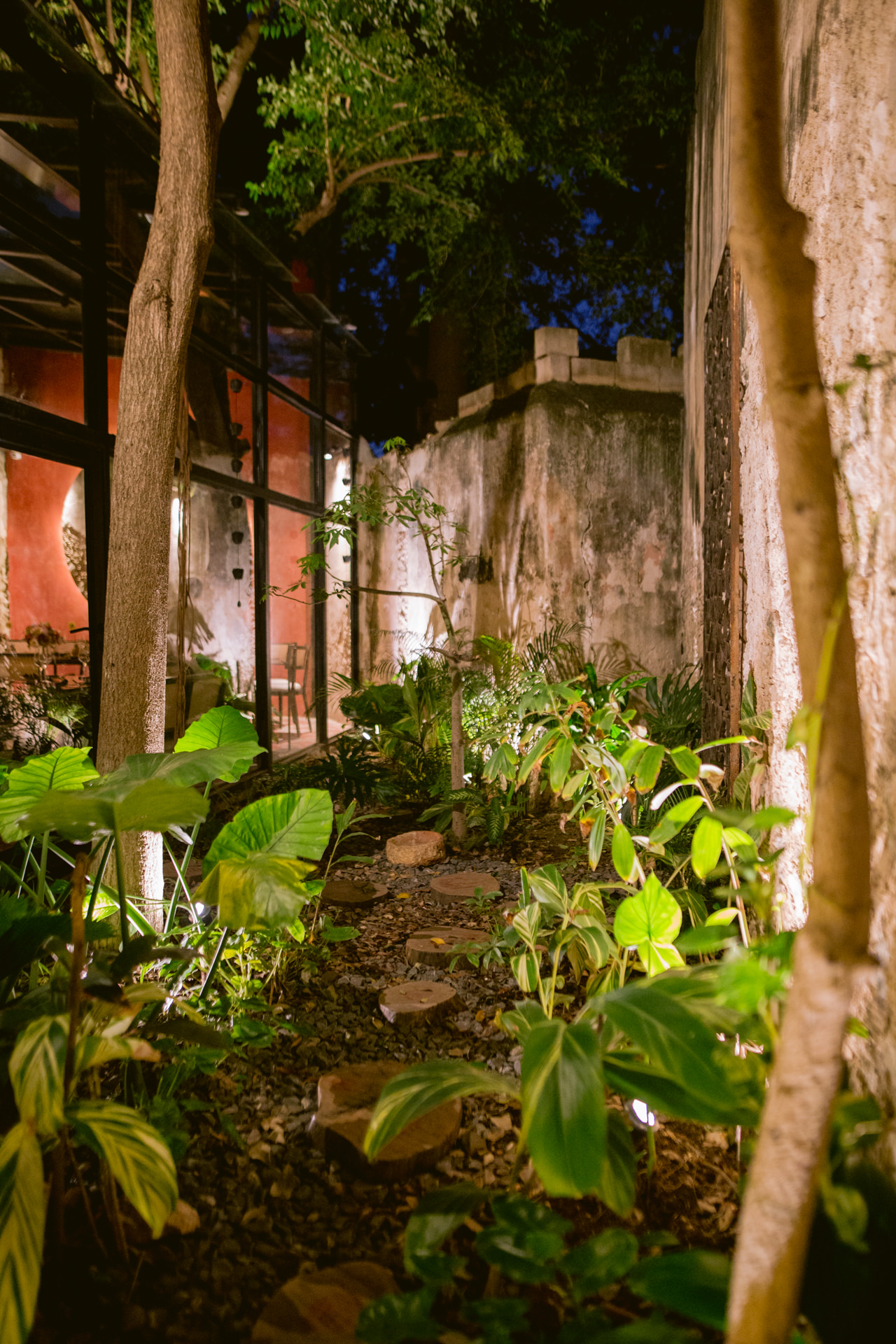 Arcano Restaurant - Unlock Your Senses